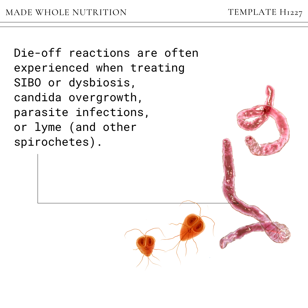 What is "herxing"? (4 ways to support die-off) — Functional Health ...