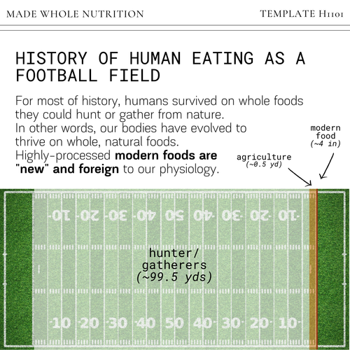 Why do we like colorful foods? The Evolutionary Psychology of Food ...