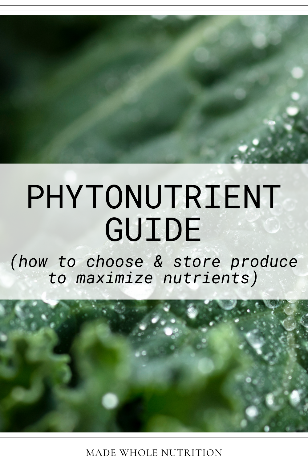 Phytonutrient Guide (how to choose & consume produce to maximize ...