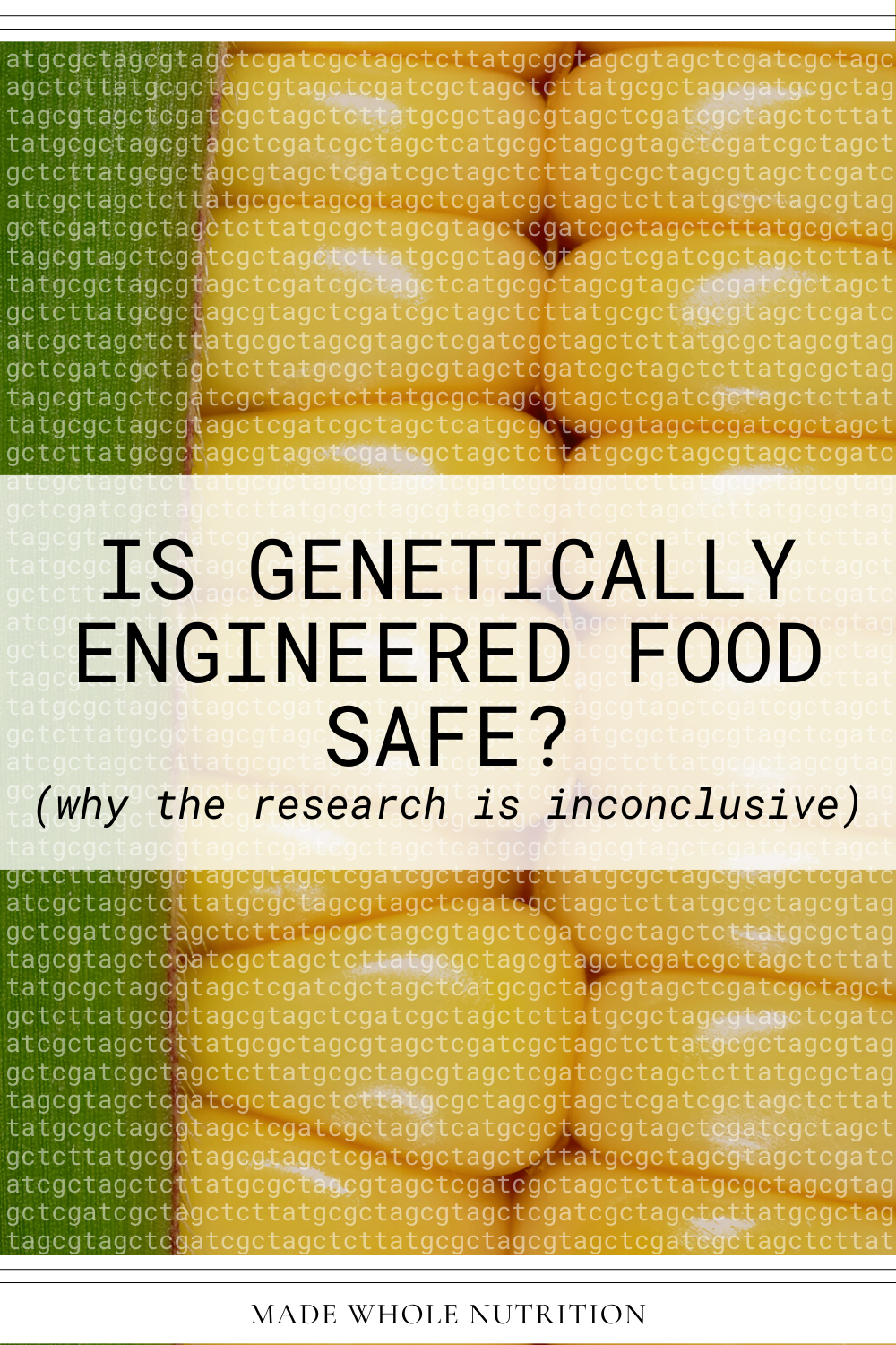 IS GENETICALLY ENGINEERED FOOD SAFE? (why the research is inconclusive ...