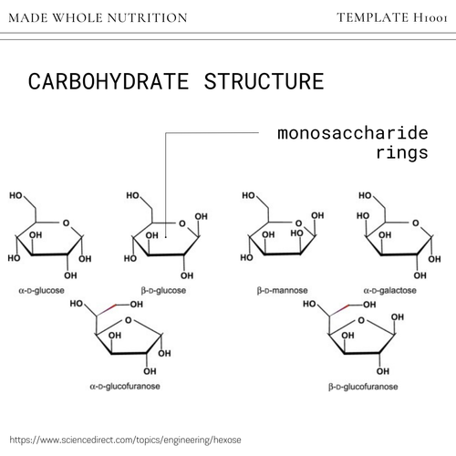MACRONUTRIENTS 101: all you need to know about fats, carbs, & proteins ...