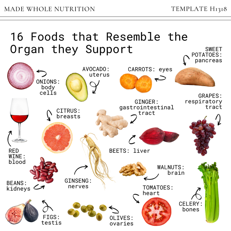 16 Foods that Resemble the Organ they Support — Functional Health ...