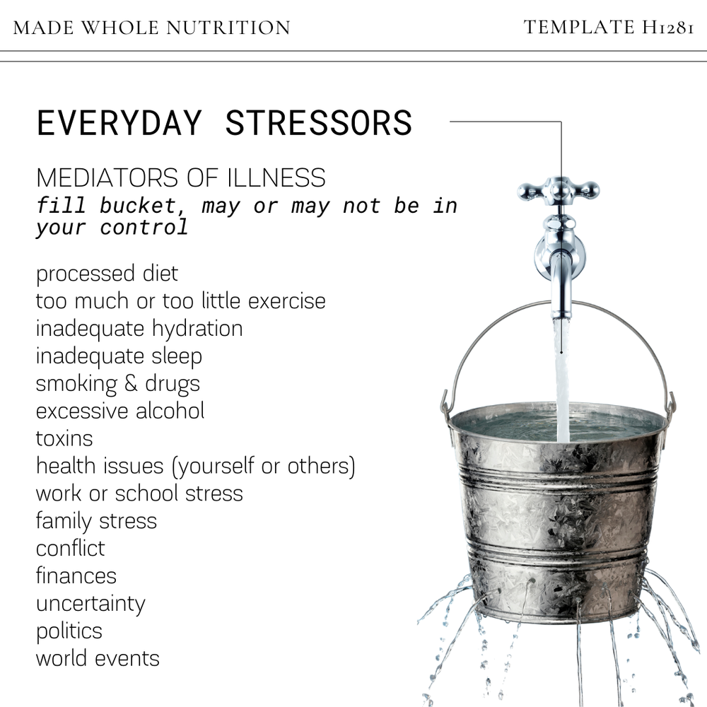 Balancing Your Stress Bucket: 12 ways to reduce stress — Functional ...