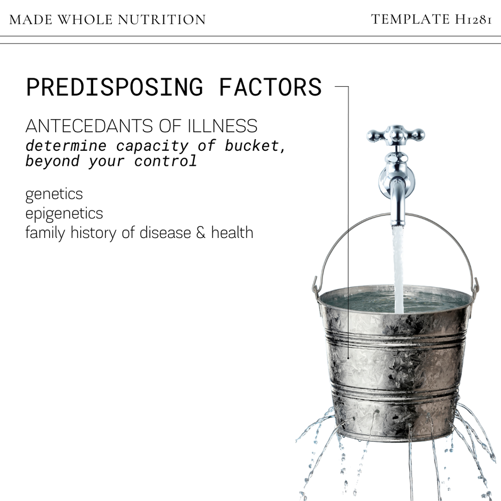 Balancing Your Stress Bucket: 12 ways to reduce stress — Functional ...