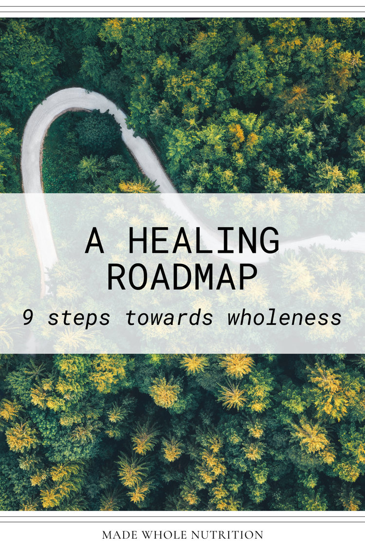 A HEALING ROADMAP: 9 steps towards wholeness — Functional Health ...