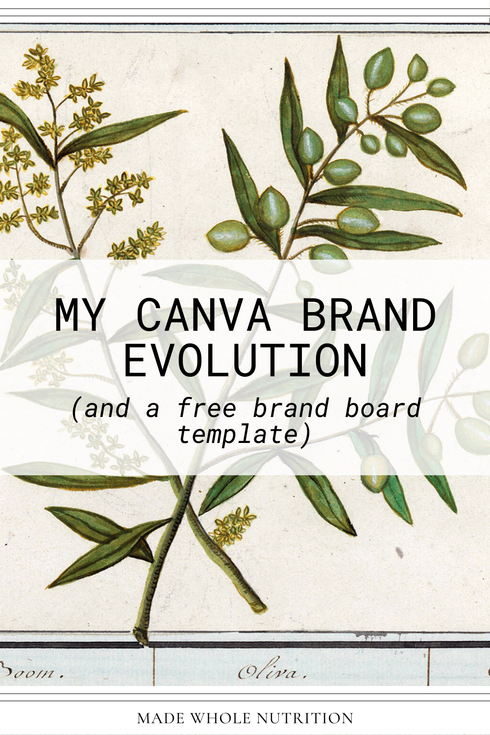 MY CANVA BRAND EVOLUTION (and a free brand board template) — Functional ...