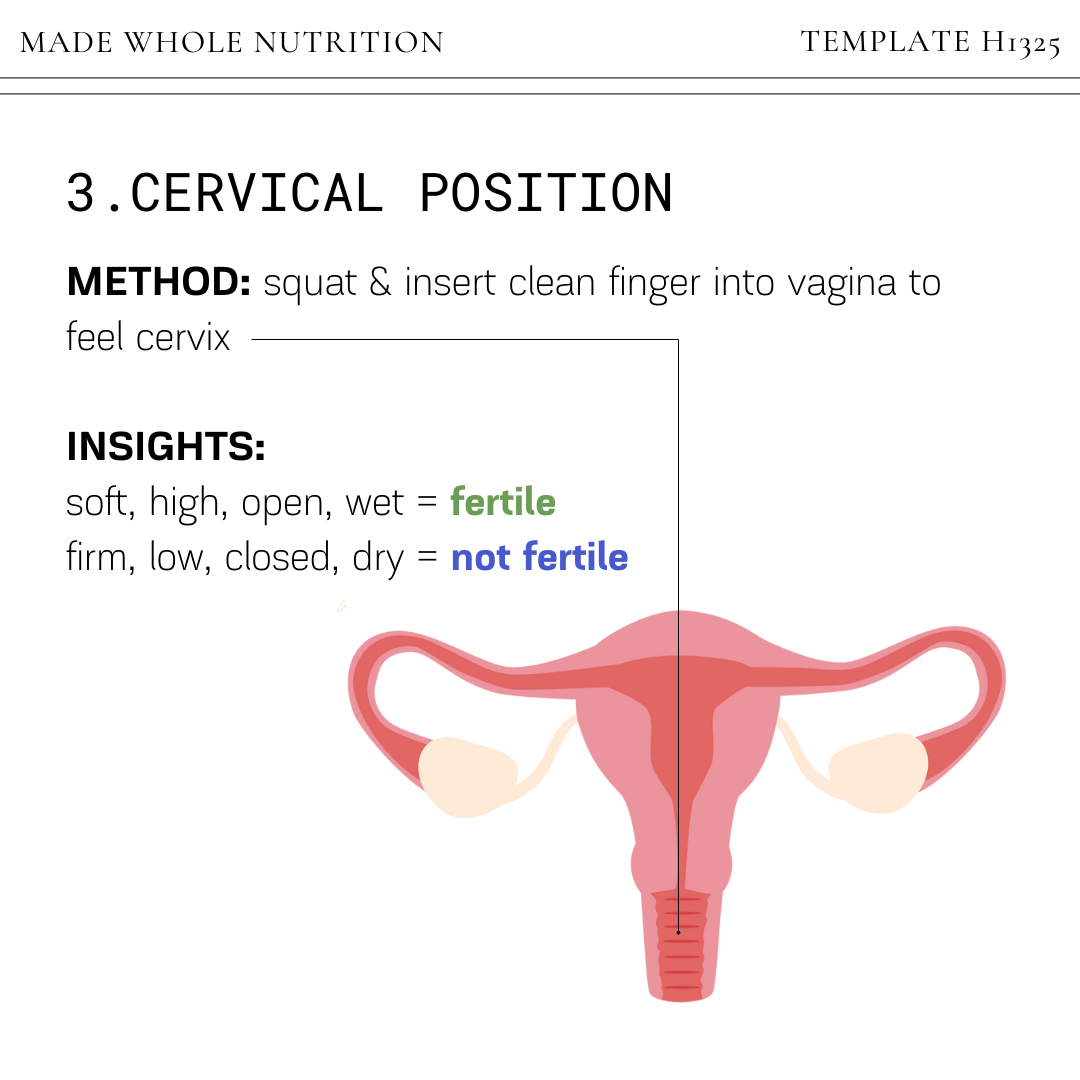 Simple Guide to the Top 3 Fertility Awareness Methods — Functional Health Research + Resources ...