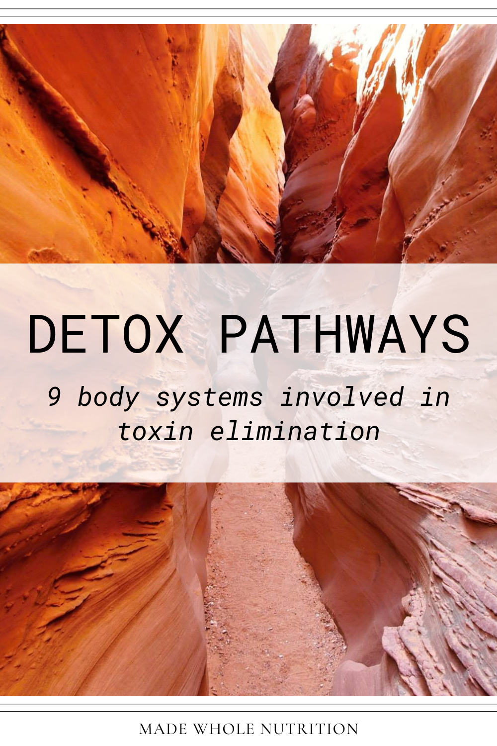 DETOX PATHWAYS: 9 body systems involved in toxin elimination ...