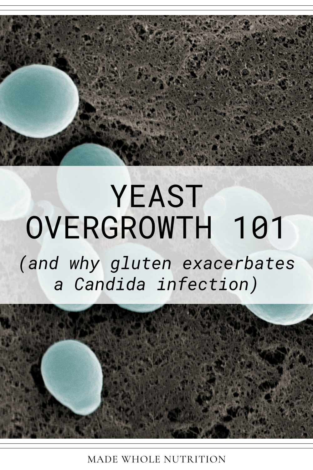 Yeast Overgrowth 101 (and why gluten exacerbates a Candida infection ...