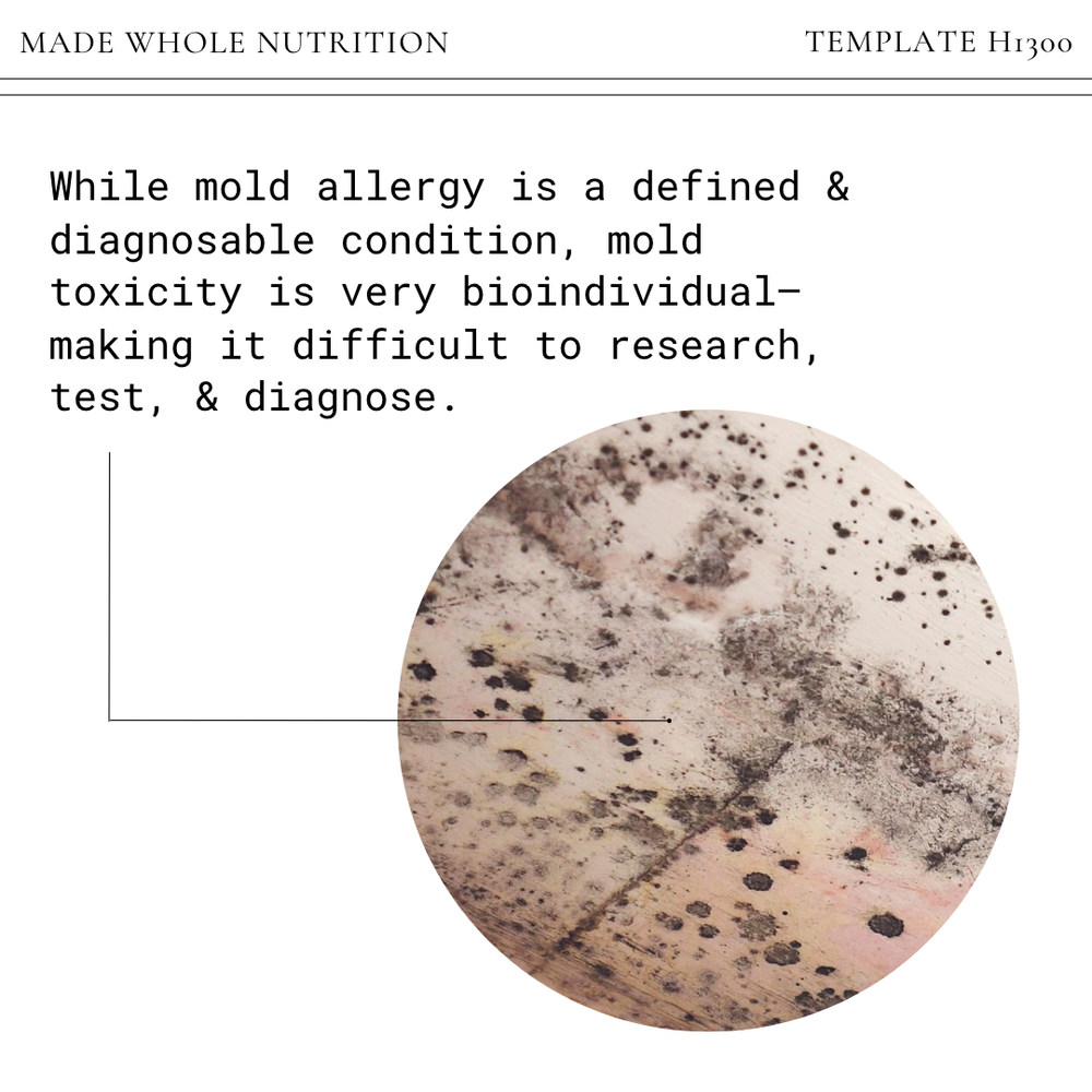 A Mold Detox Diet for TOXIC MOLD SYNDROME — Functional Health Research ...