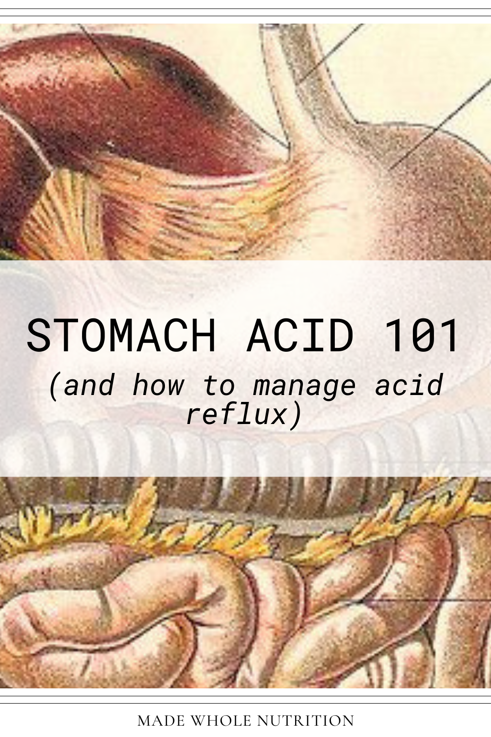 STOMACH ACID 101 (and how to manage acid reflux) — Functional Health ...