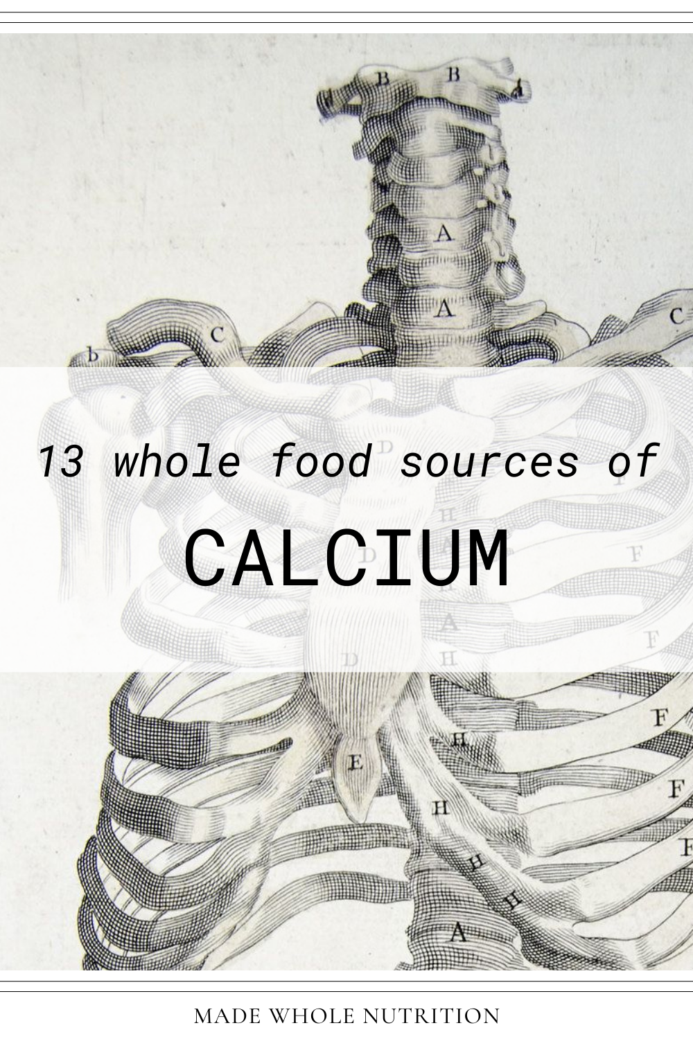 13 Whole Food Sources of Calcium — Functional Health Research ...