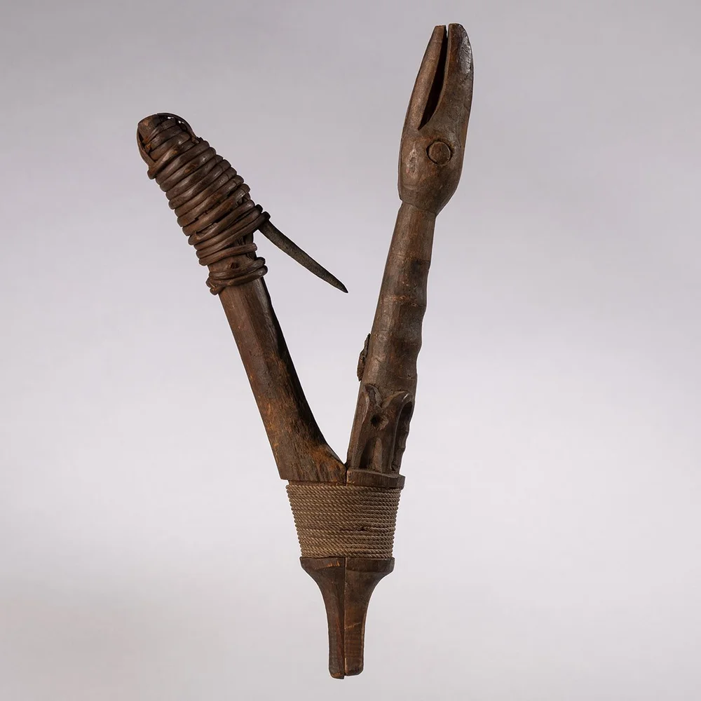 Northwest Native American Art Bird