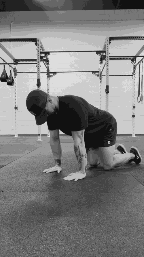 Palm Lift Push-Ups — We Are OLLIN