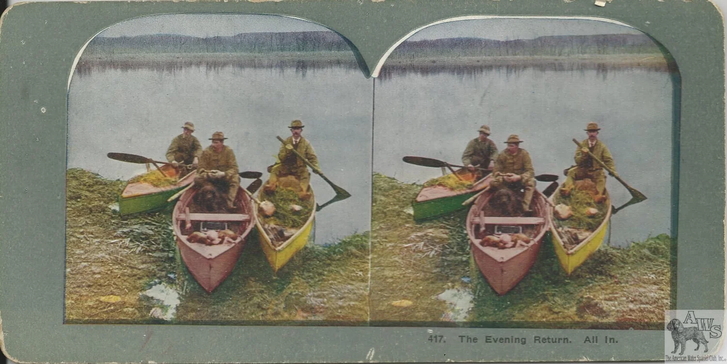 History of the American Water Spaniel — AWSC