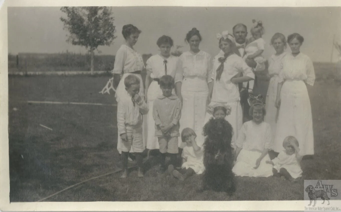 History of the American Water Spaniel — AWSC