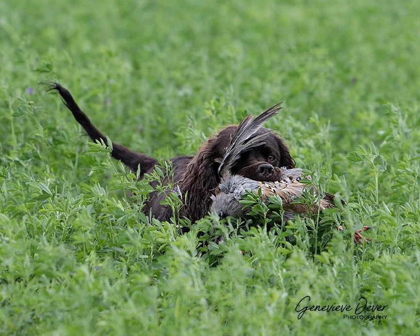 2023 National Specialty Highlights — AWSC