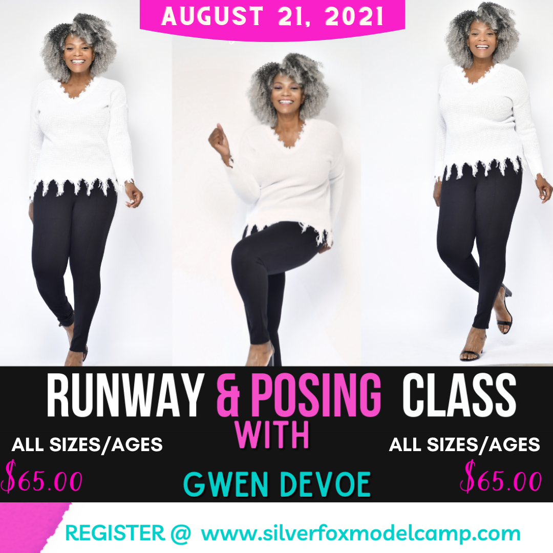 Silver Fox Model Camp