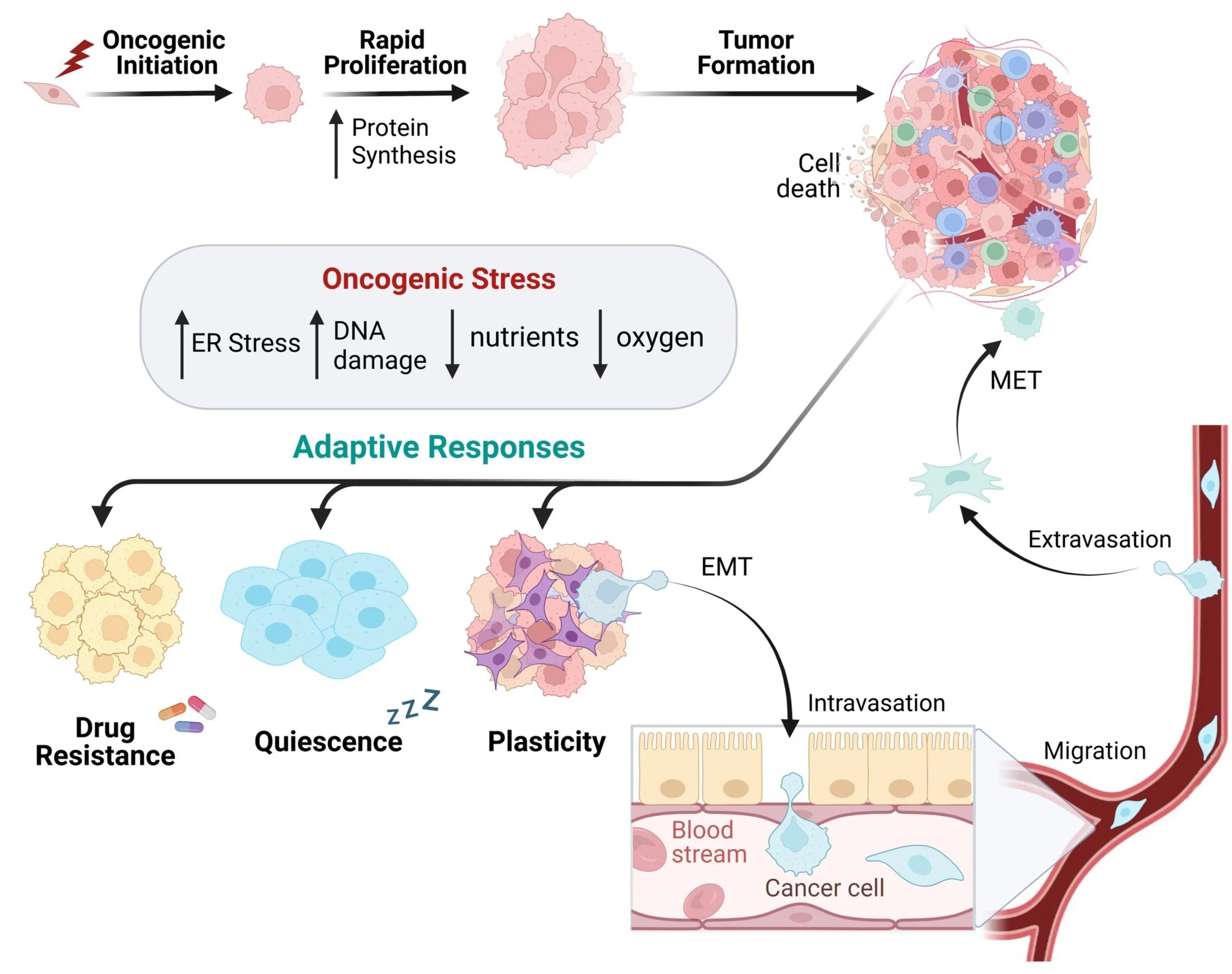 Publications — CSConn Lab