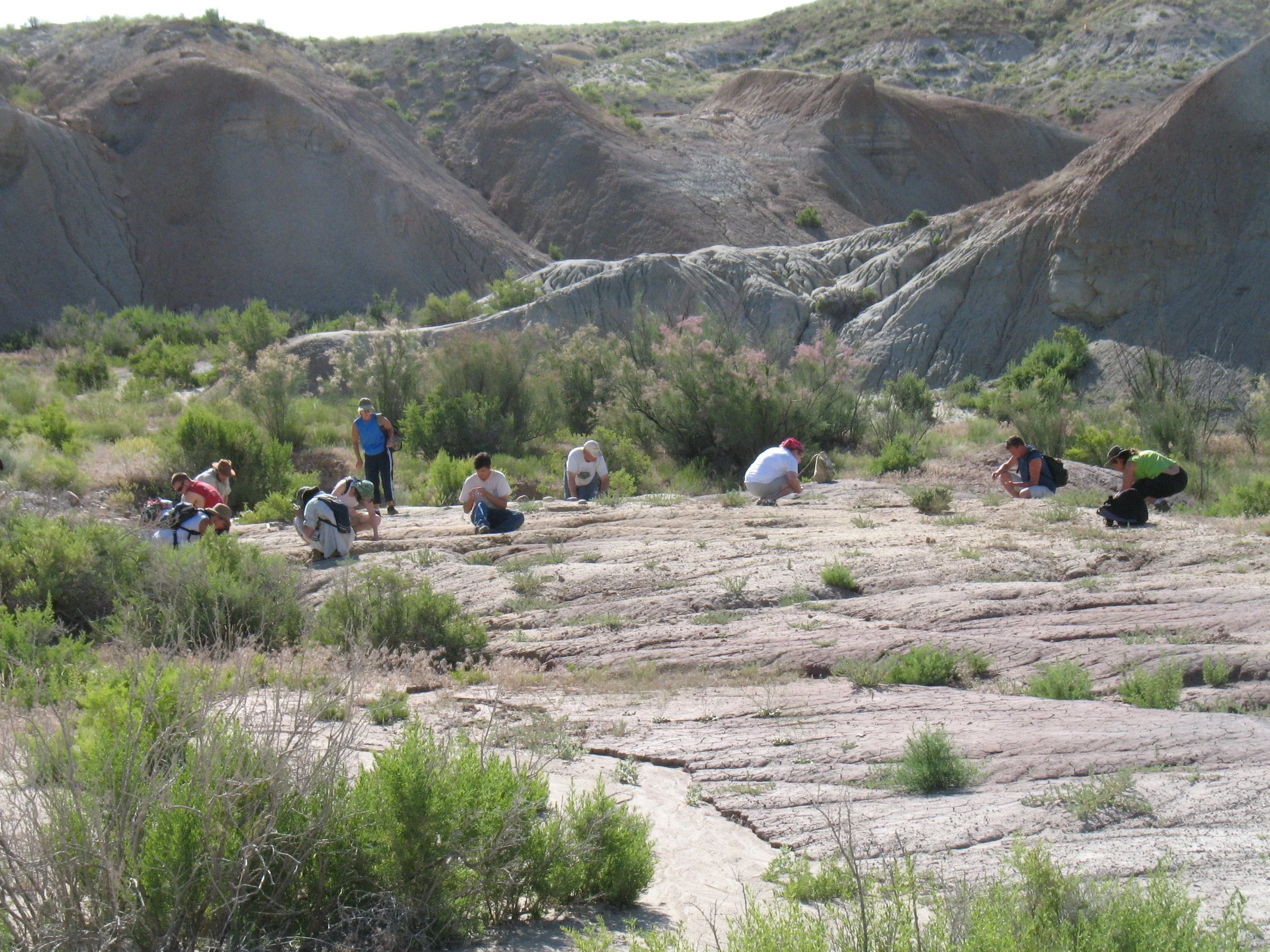 Uinta Basin Project