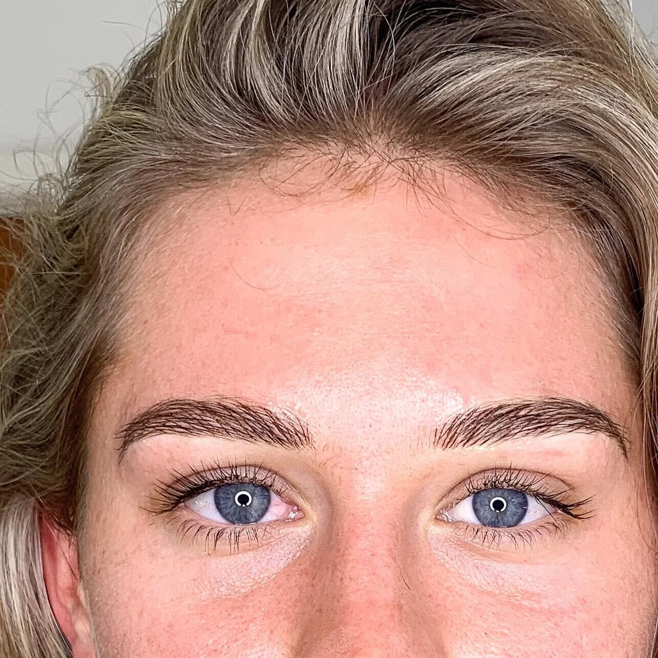 gallery — Perth Eyebrow Art