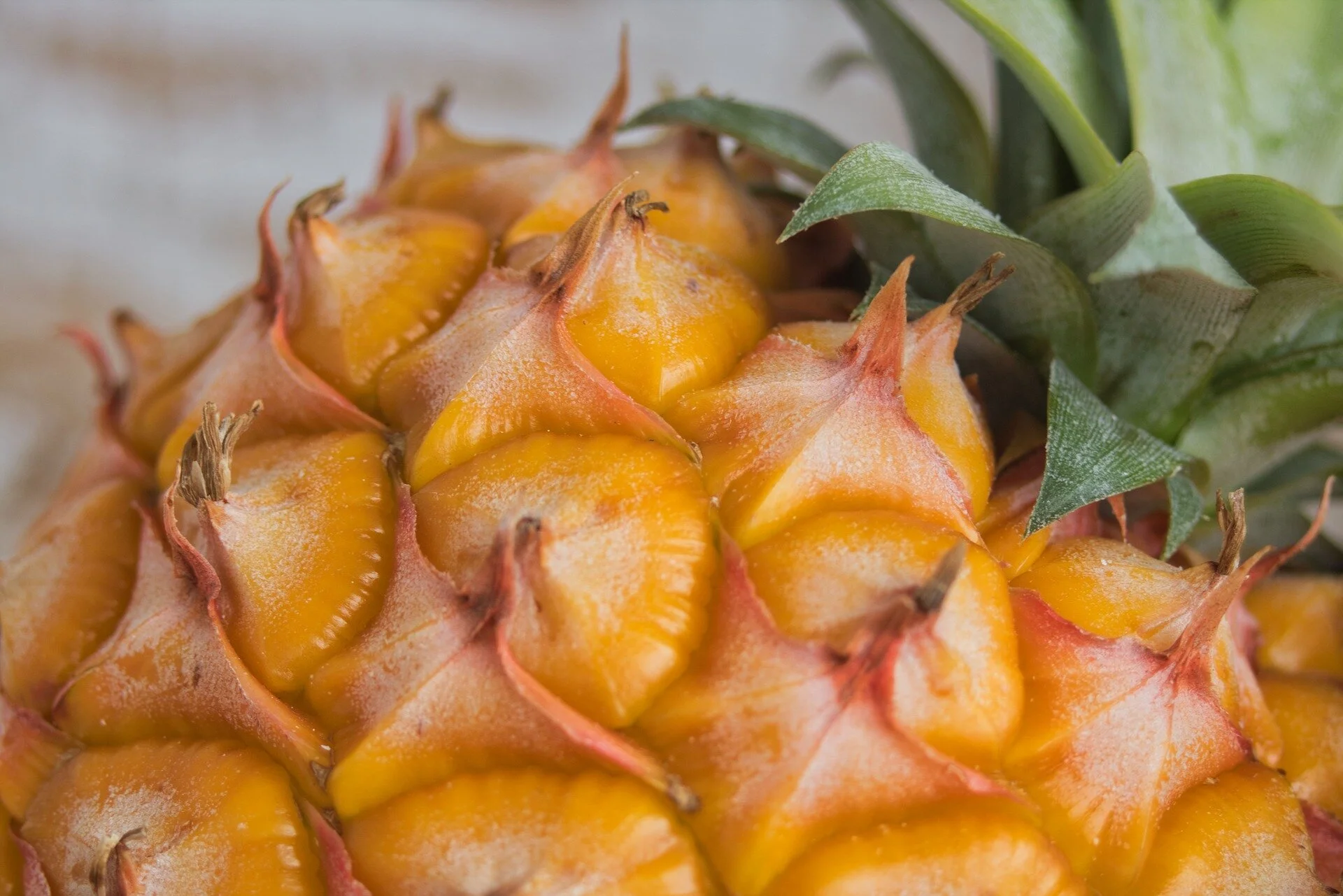 Pineapple — Drunken Fruit®