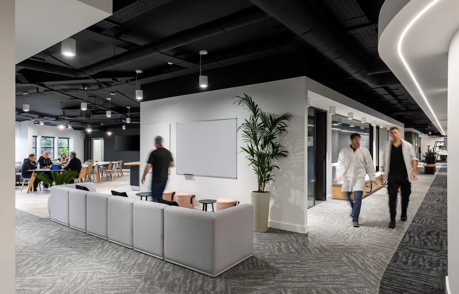Workplace Interior Photographer Captures a Feature-Rich Project