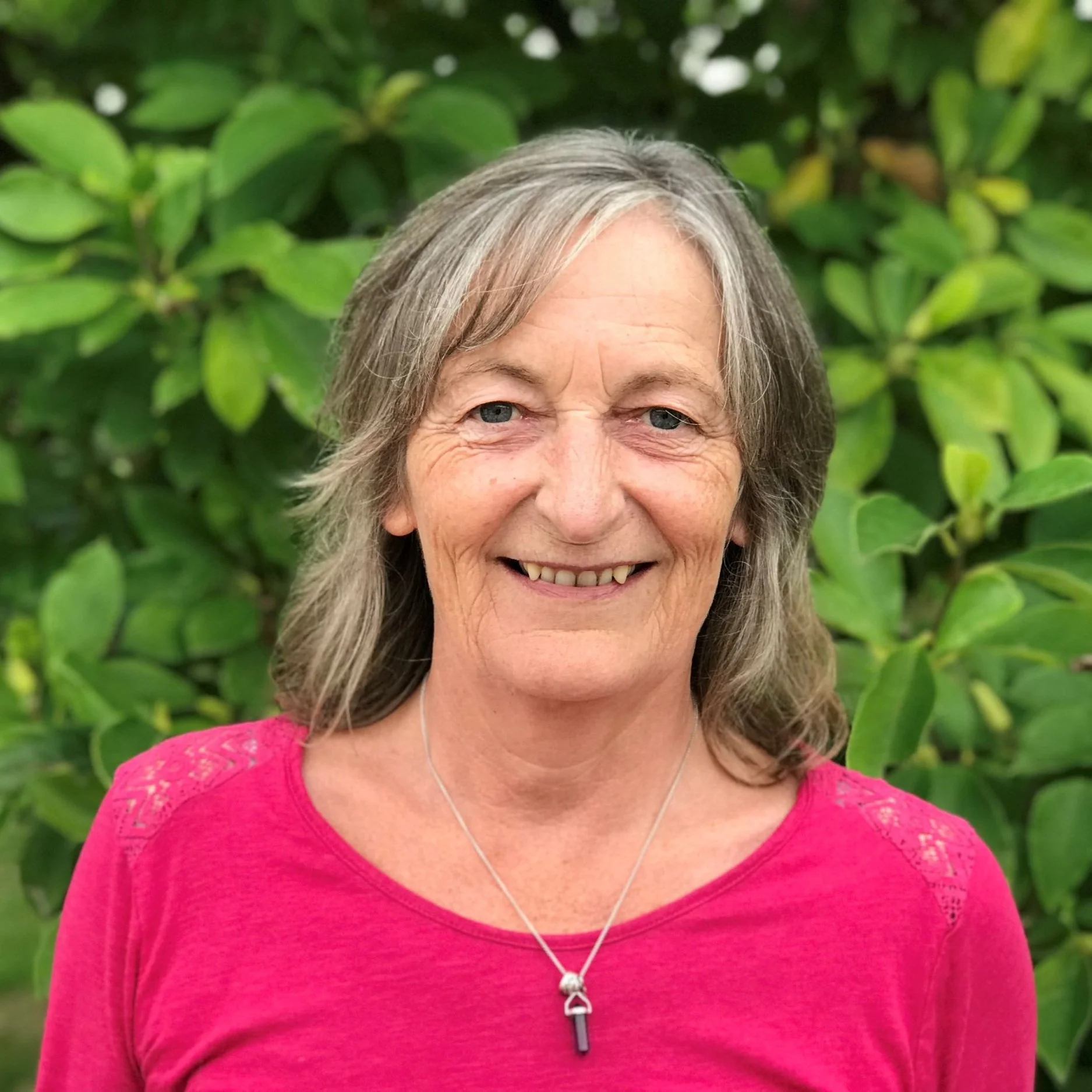 North Somerset Village Agents — WERN