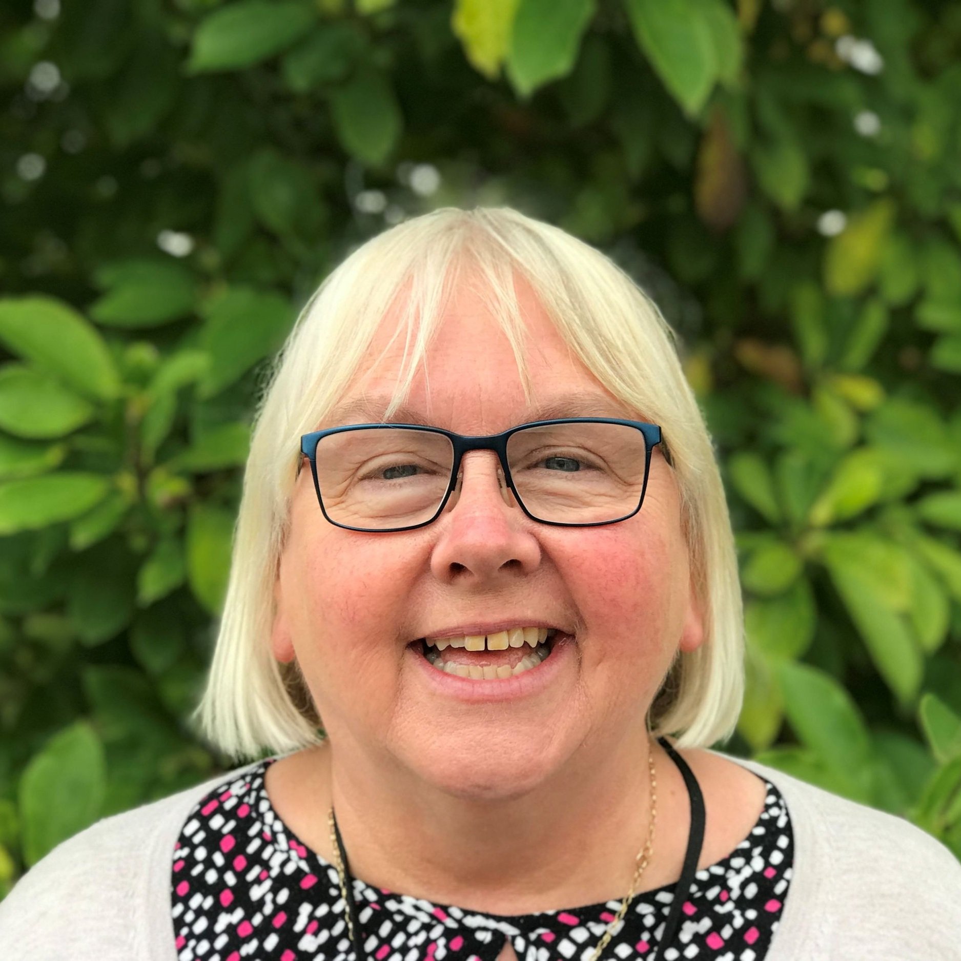 North Somerset Village Agents — WERN