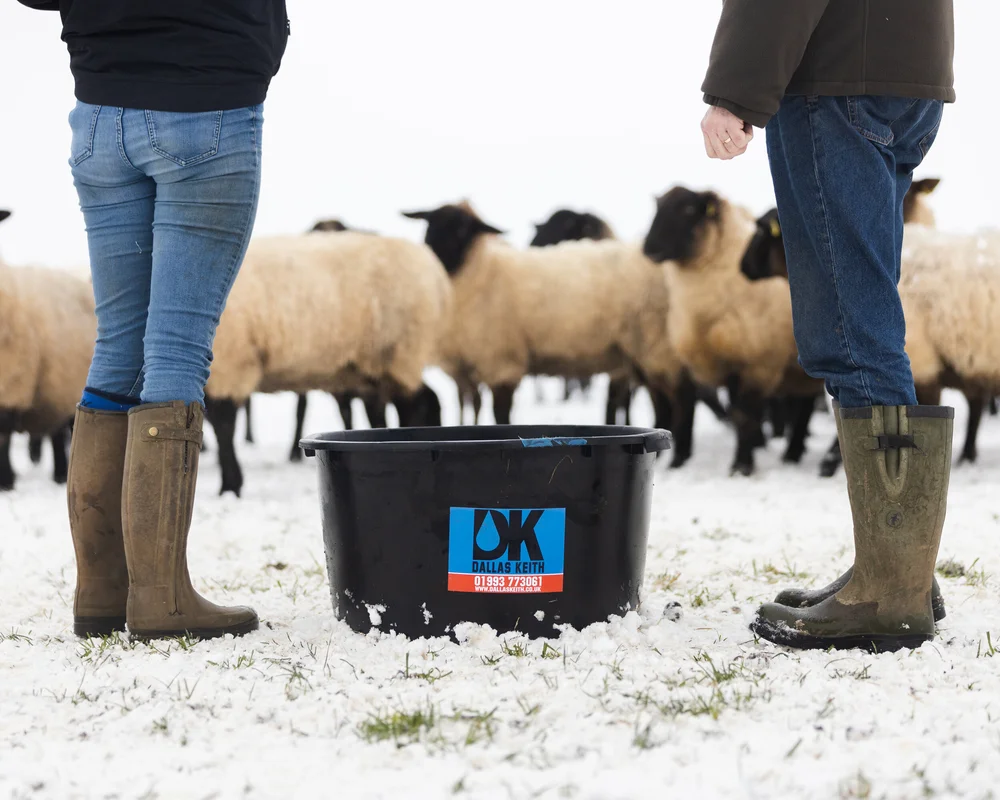 About us — Dallas Keith