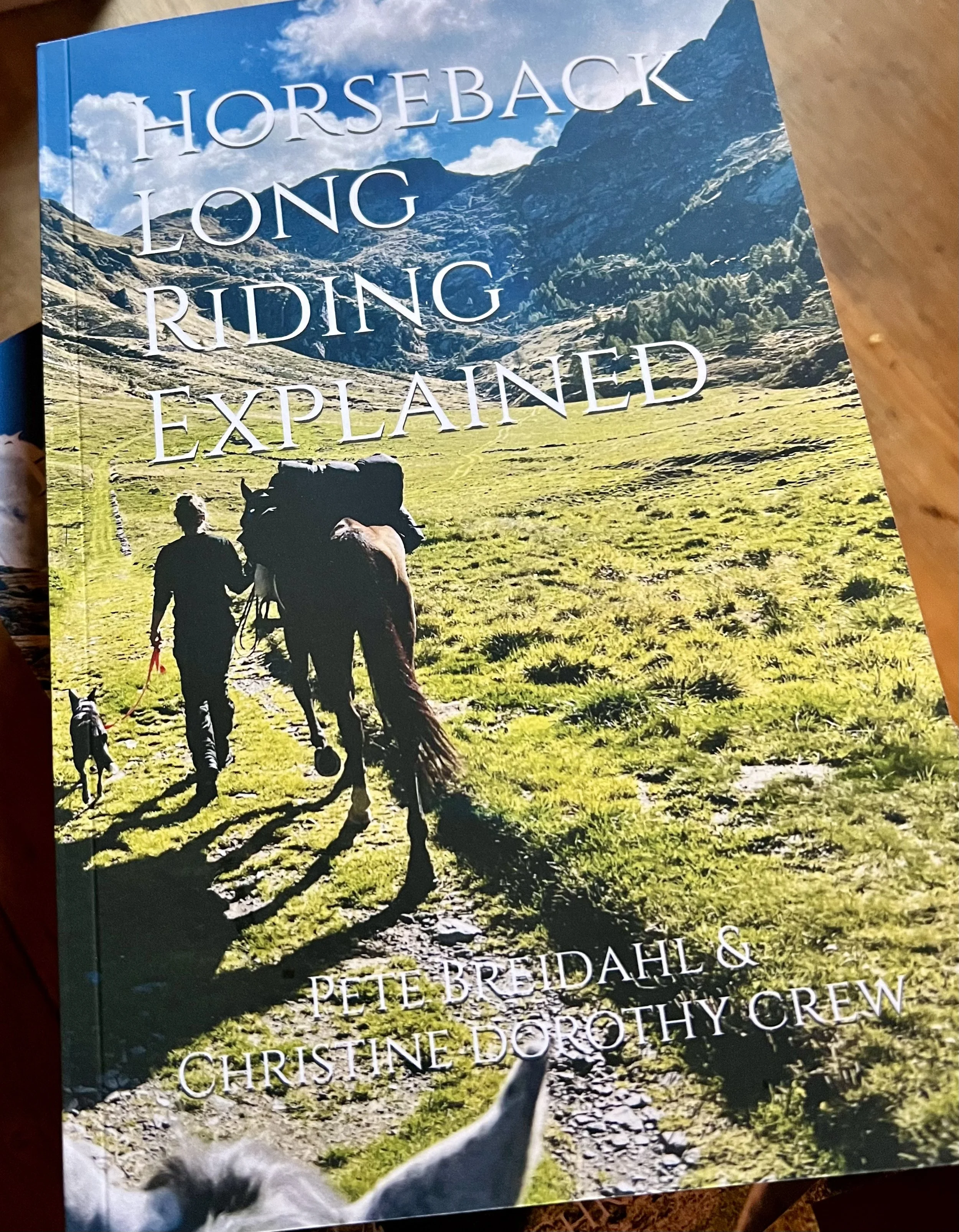 Books — Be Professional. Look Cool.