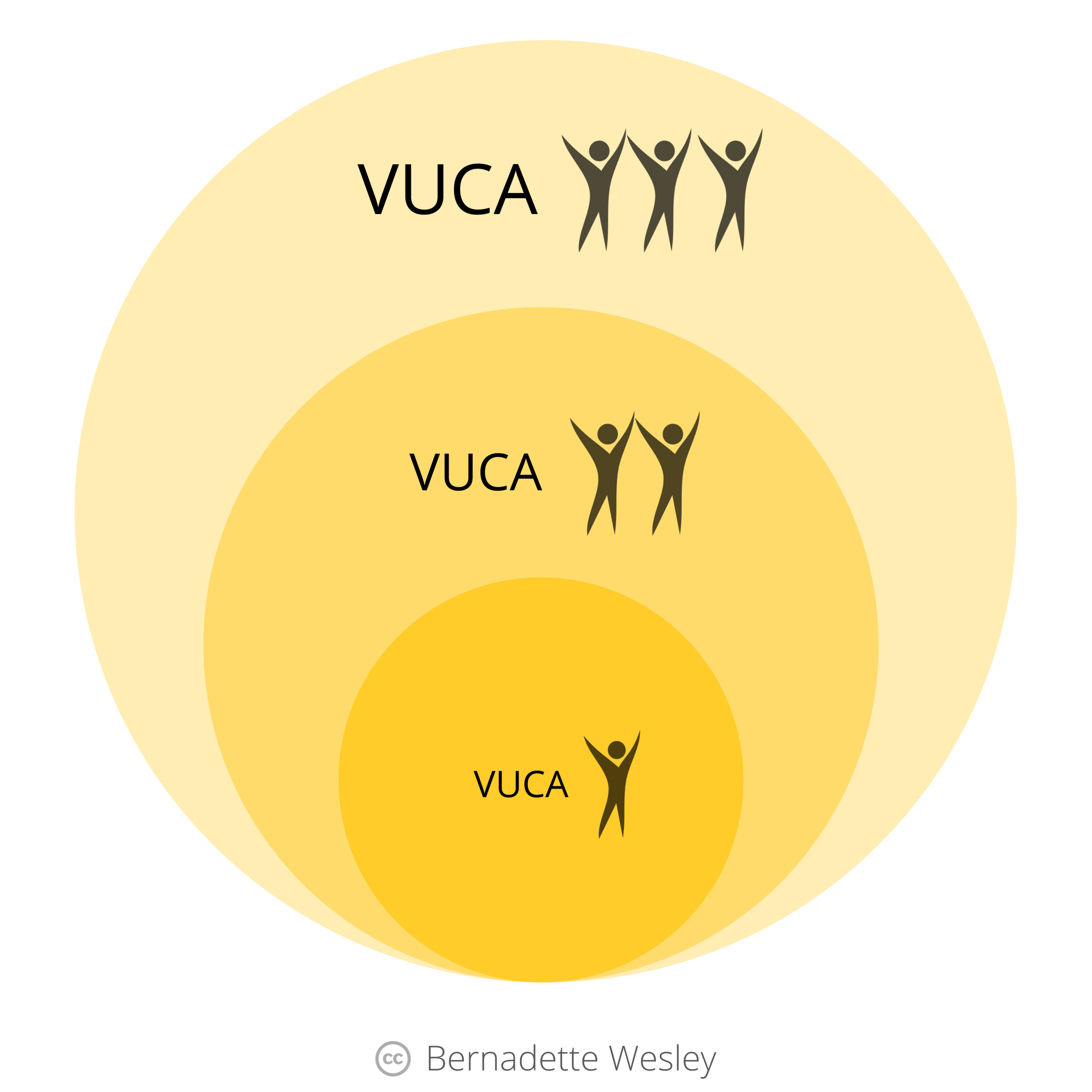 The Complexity of Organizational Life: VUCA Within VUCA — Bernadette Wesley