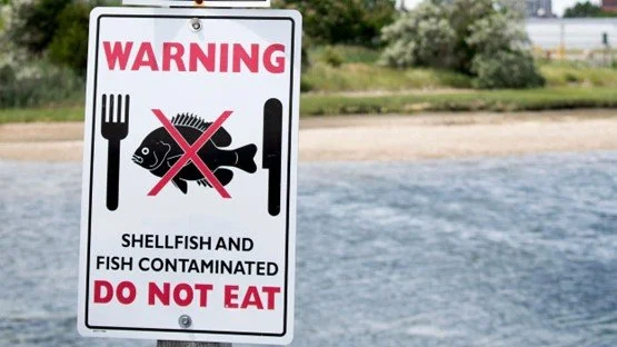 Blog 3 — Military Poisons