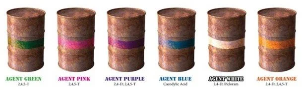 Federal government hides the truth about Agent Orange contamination at ...