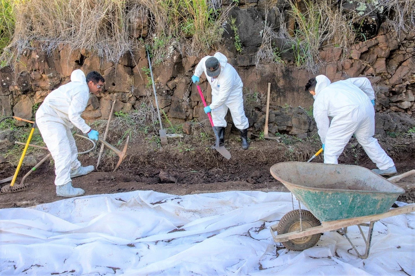 Explaining the Red Hill Disaster — Military Poisons