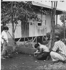 Replacement well in Kunia Village also found to be contaminated with ...