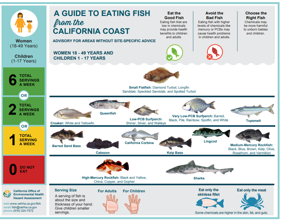 Former Marine Corps Air Station Tustin contaminates the Newport Beach ...