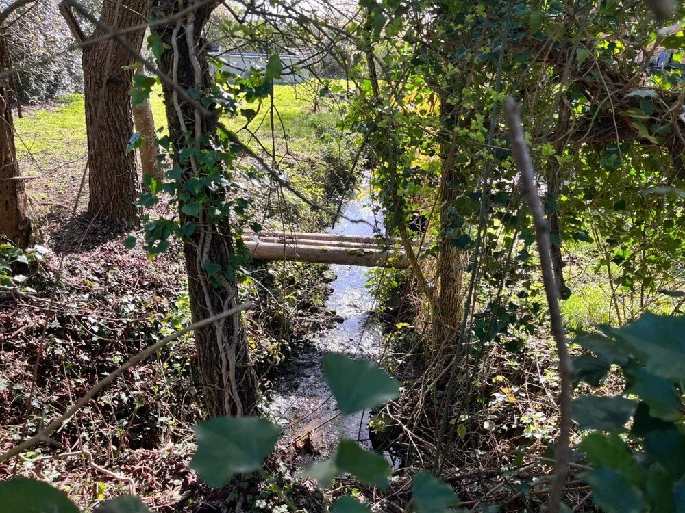 The Gallos Brook Disaster — Military Poisons