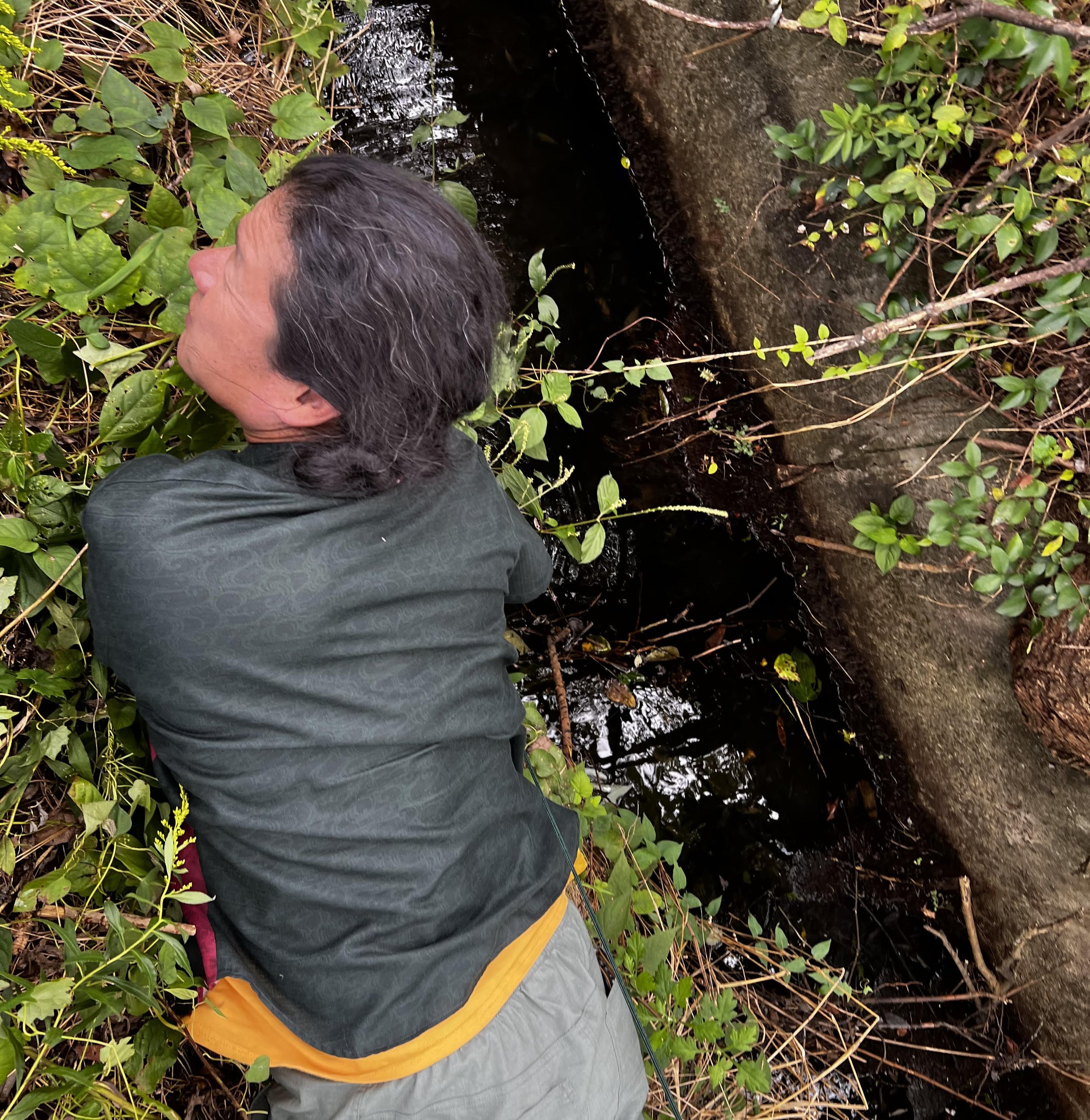 PFAS results from mainland Japan — Military Poisons