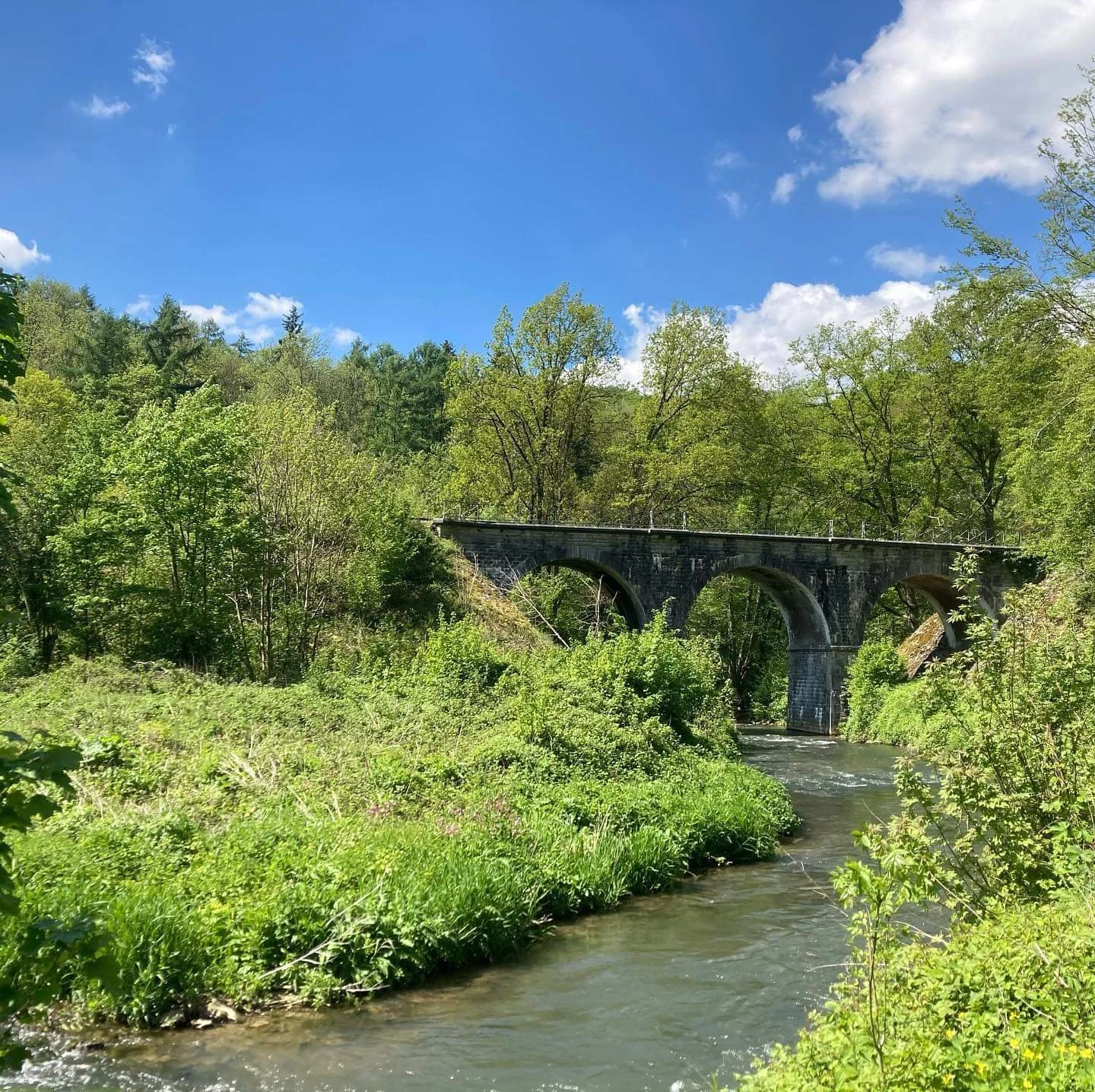 Trails à Godinne — RCB GAL