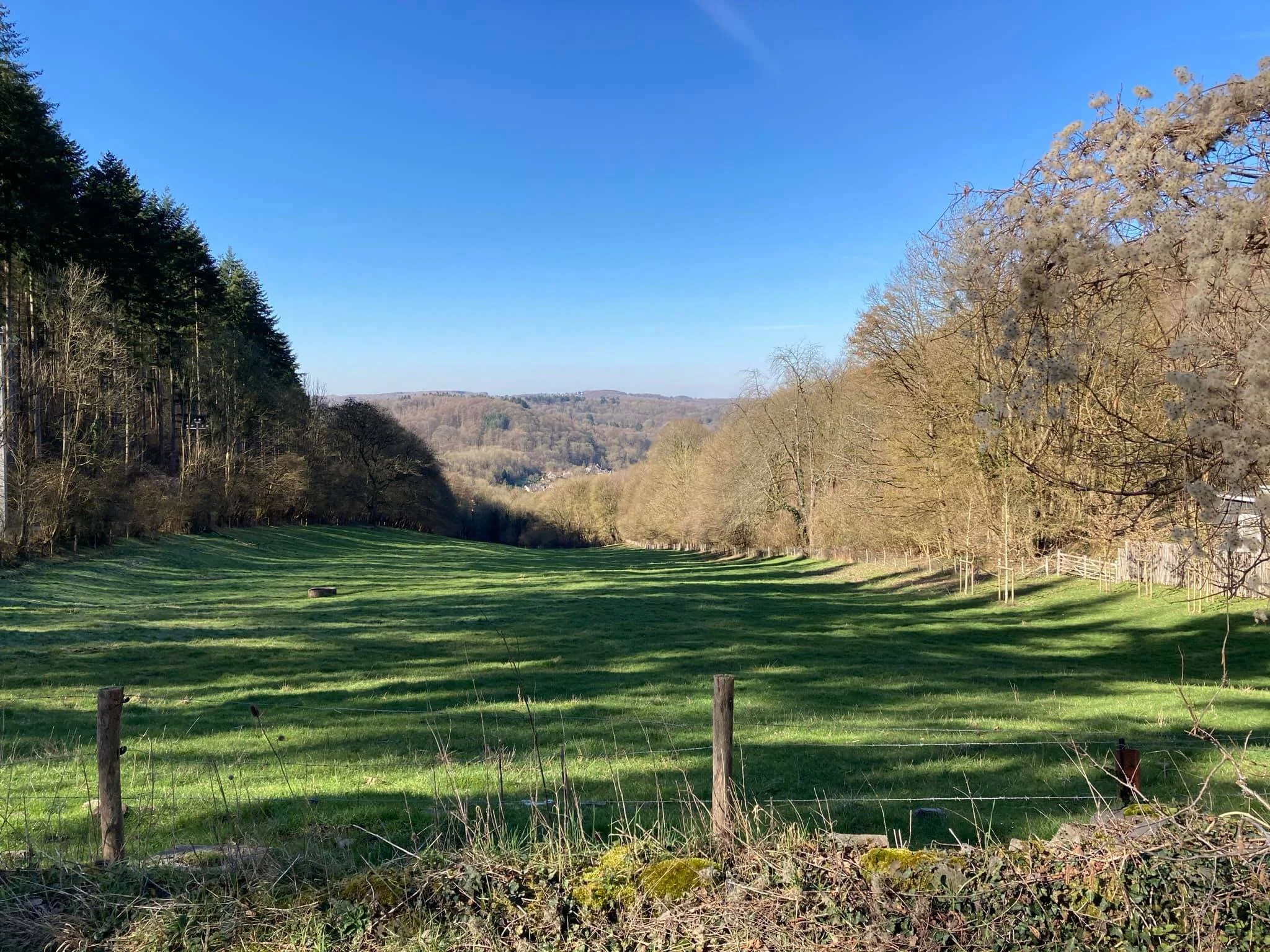 Trails à Godinne — RCB GAL