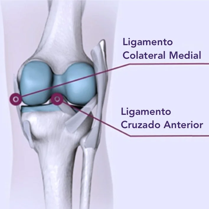 Las lesiones de rodilla más comunes — Clínica Company