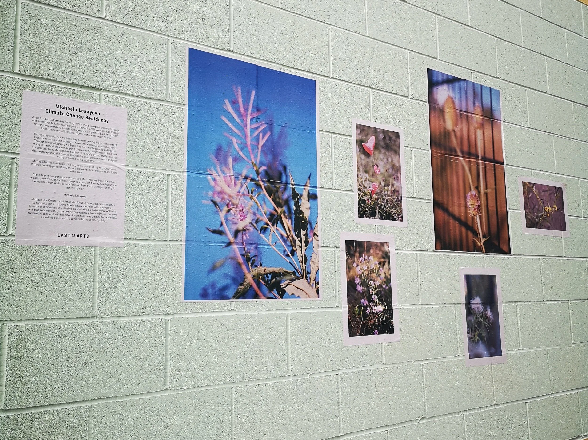 Michaela Lesayova (Growing Colour Together) — Yorkshire and Humber ...