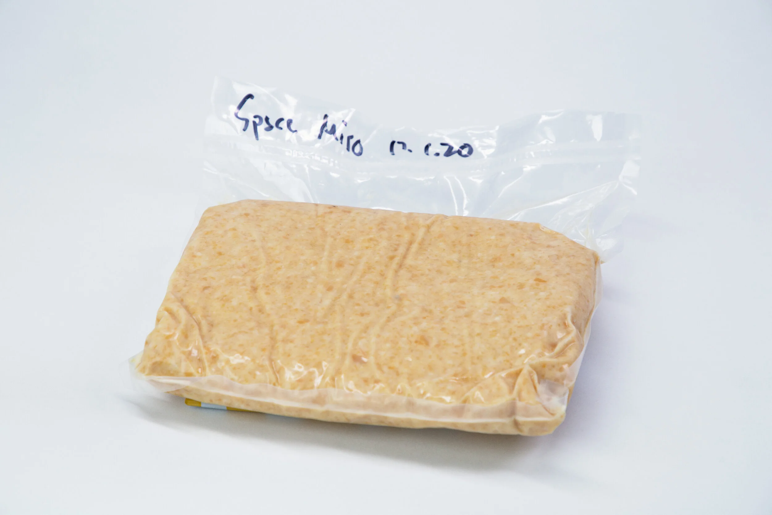 Space Fermentation — MIT Space Exploration Initiative