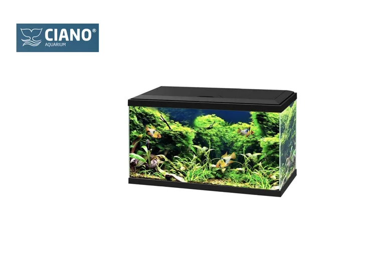CIANO® Aquarium - AQUA 20C — Golls Aquatics