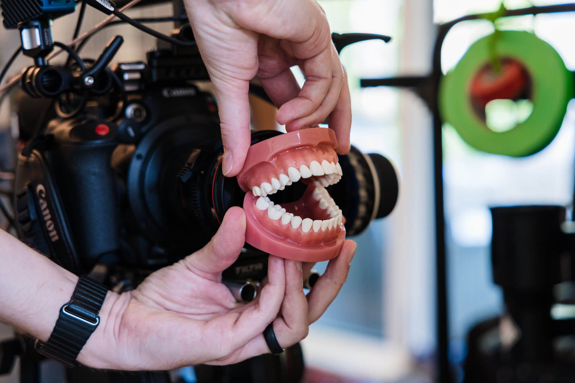 Clean Away Covid — DOUBLE ENTENDRE PICTURES