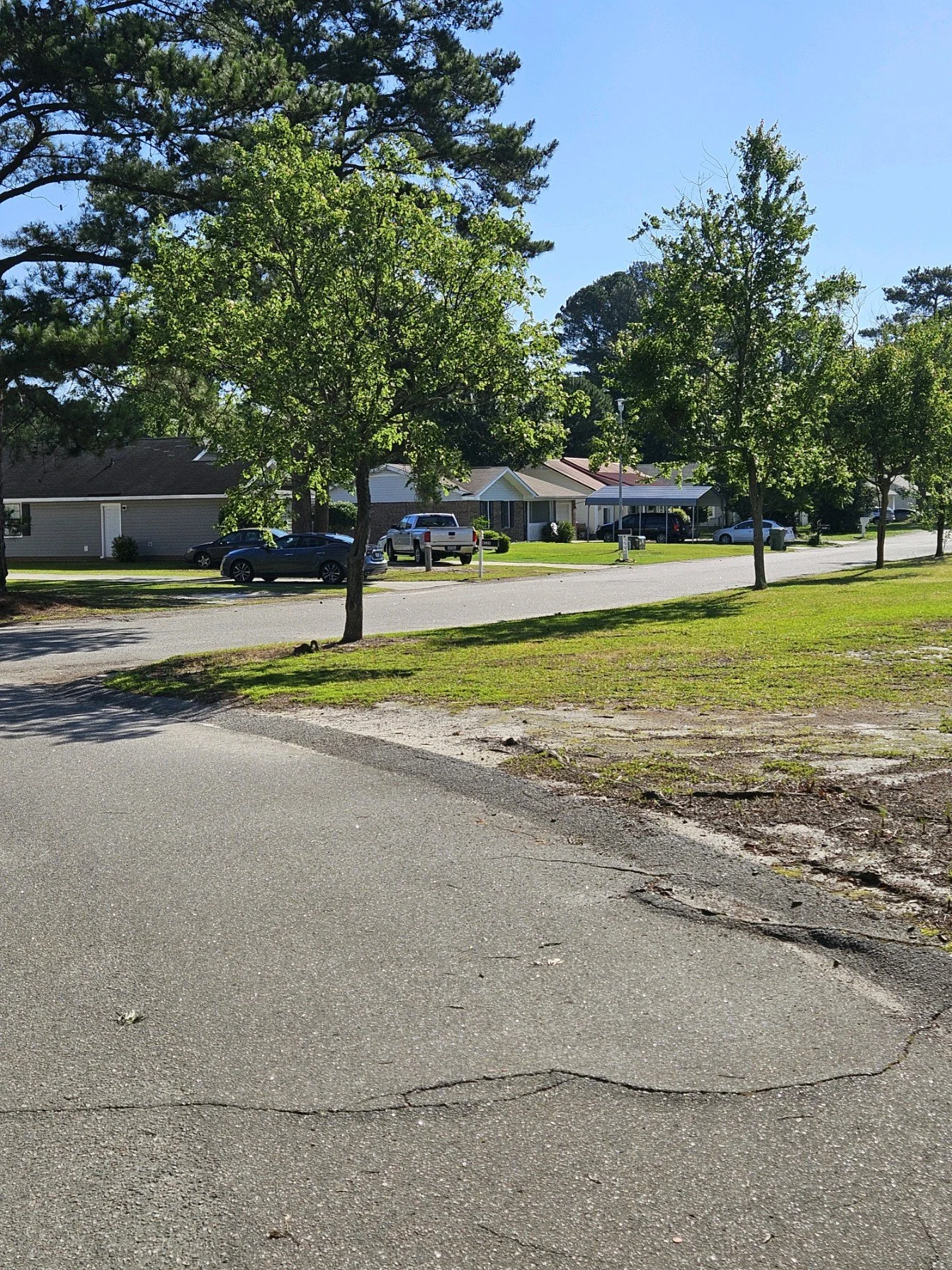 Fairway Forest — Remnant Management