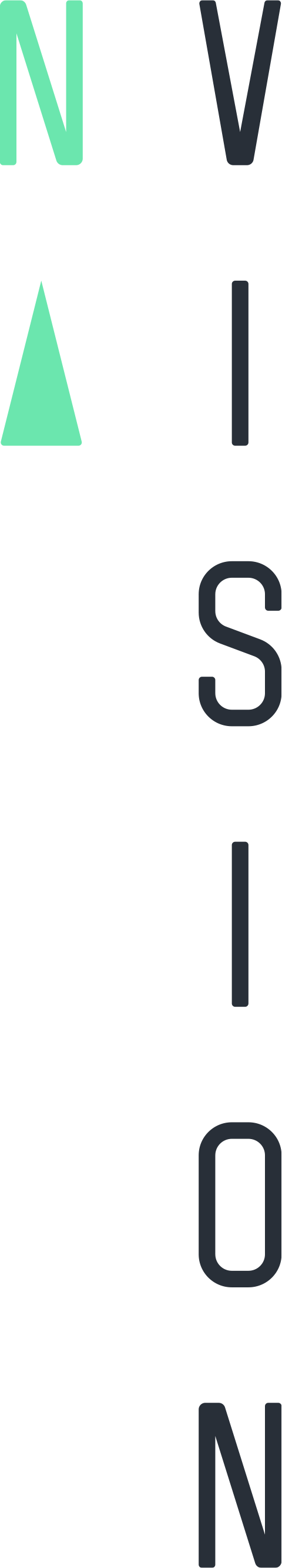 NVISION