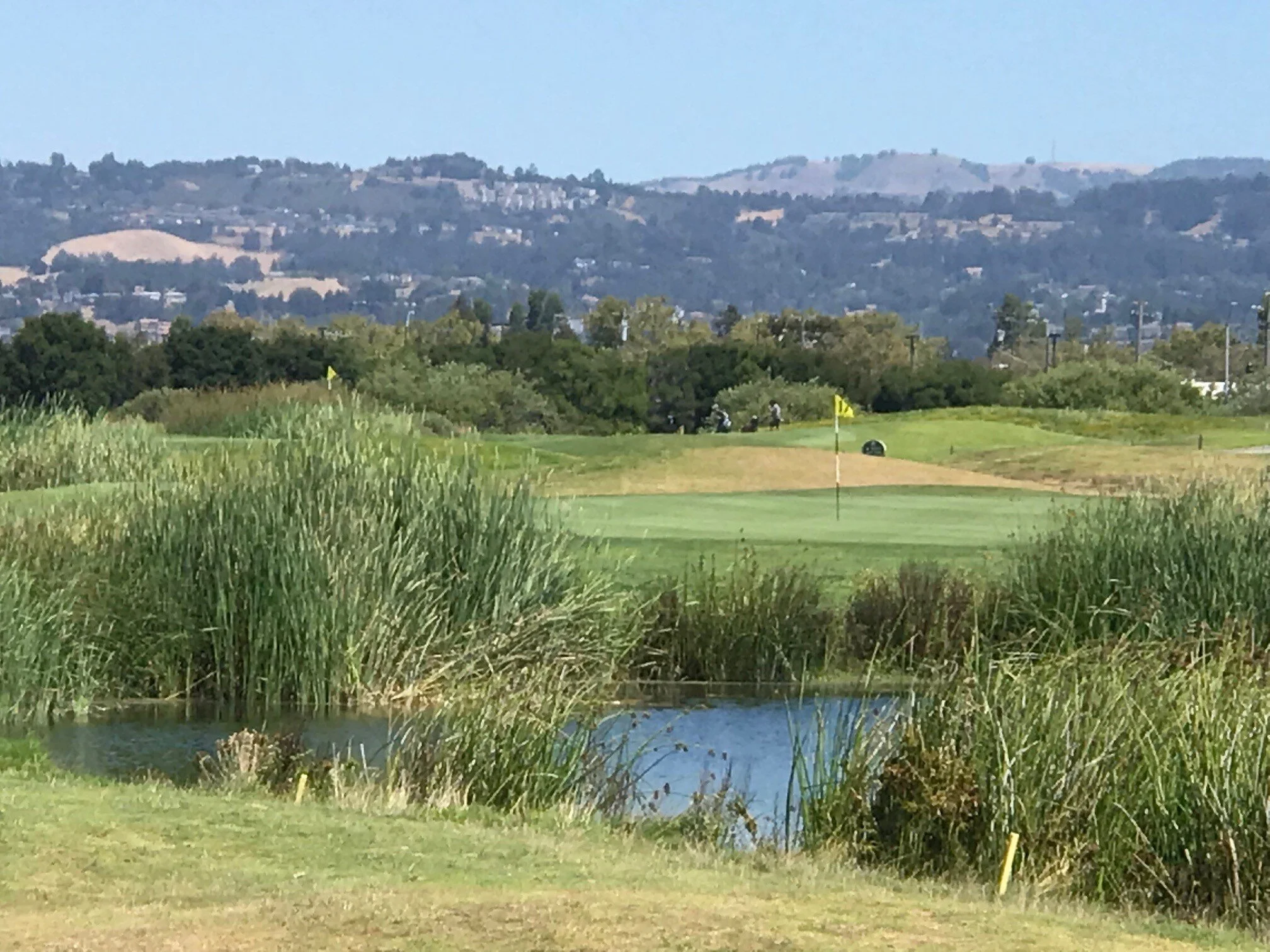 Home — Metropolitan Golf Club