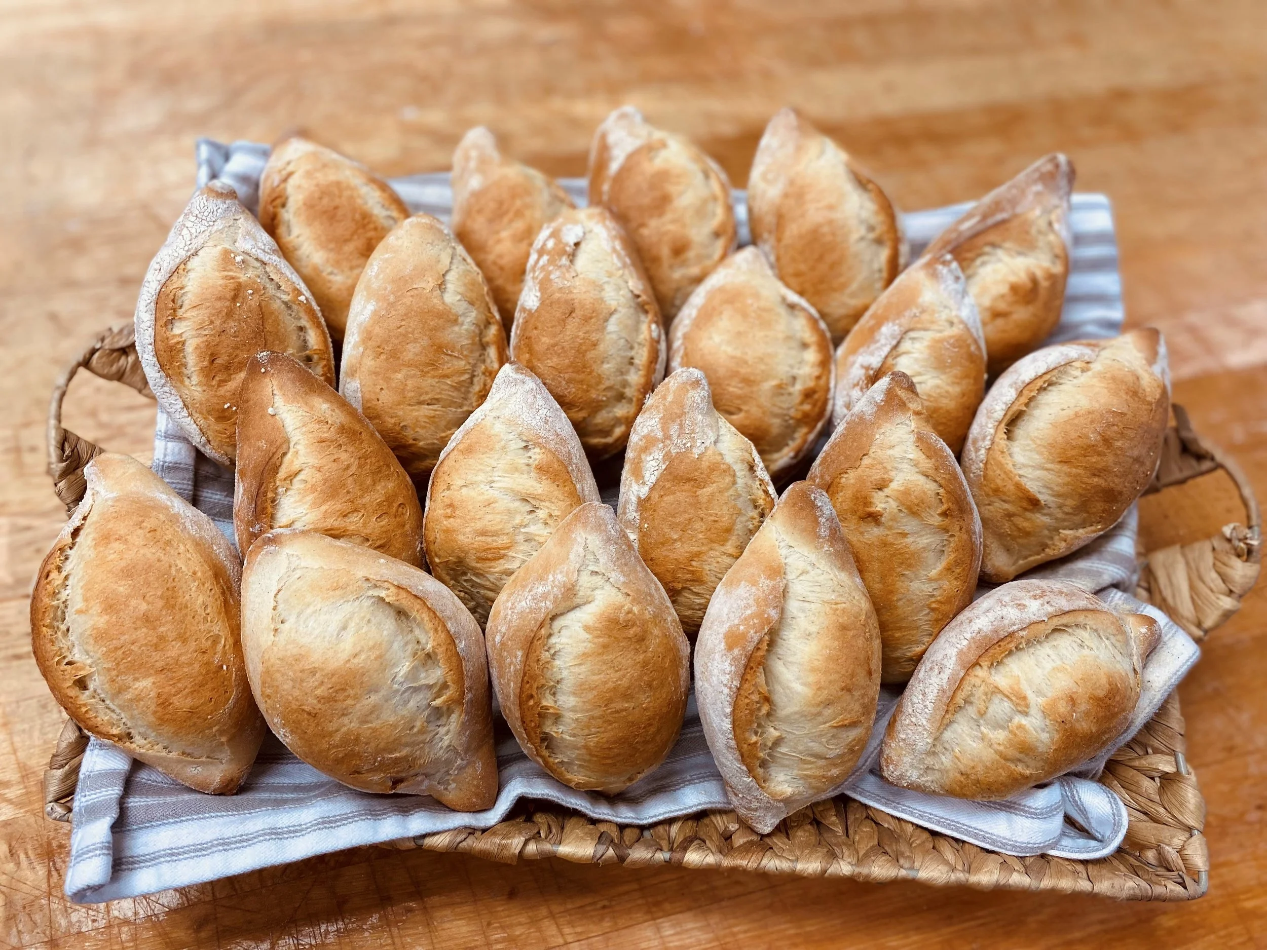 Blog — Baking Evolution